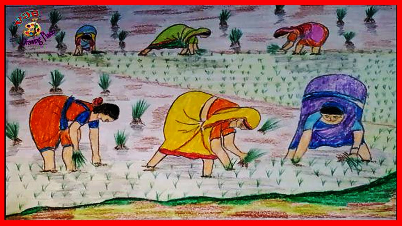 How to draw a scenery of cultivation Step by step ( rural women ...