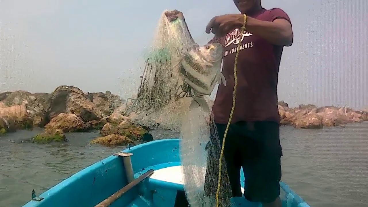 PESCA CON ATARRAYA EN LANCHA . BOSQUE, FRONTERA. - YouTube