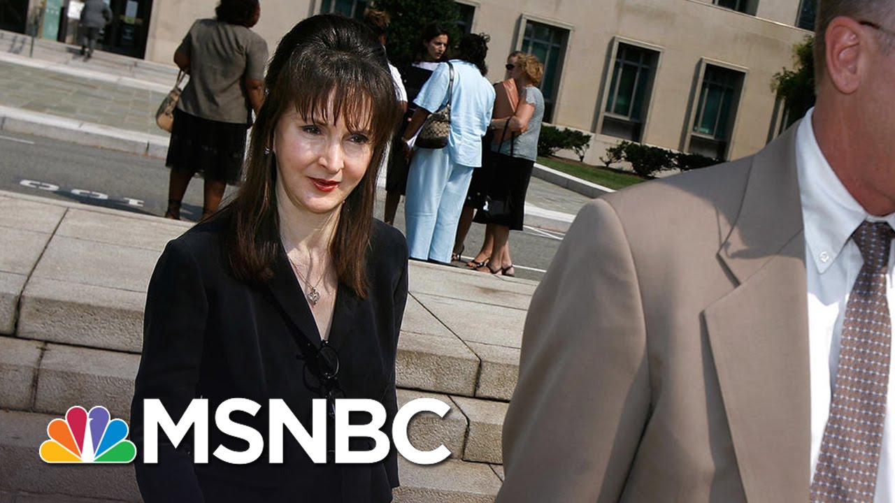 DC Madam's Lawyer Begins Releasing Details | Rachel Maddow | MSNBC ...