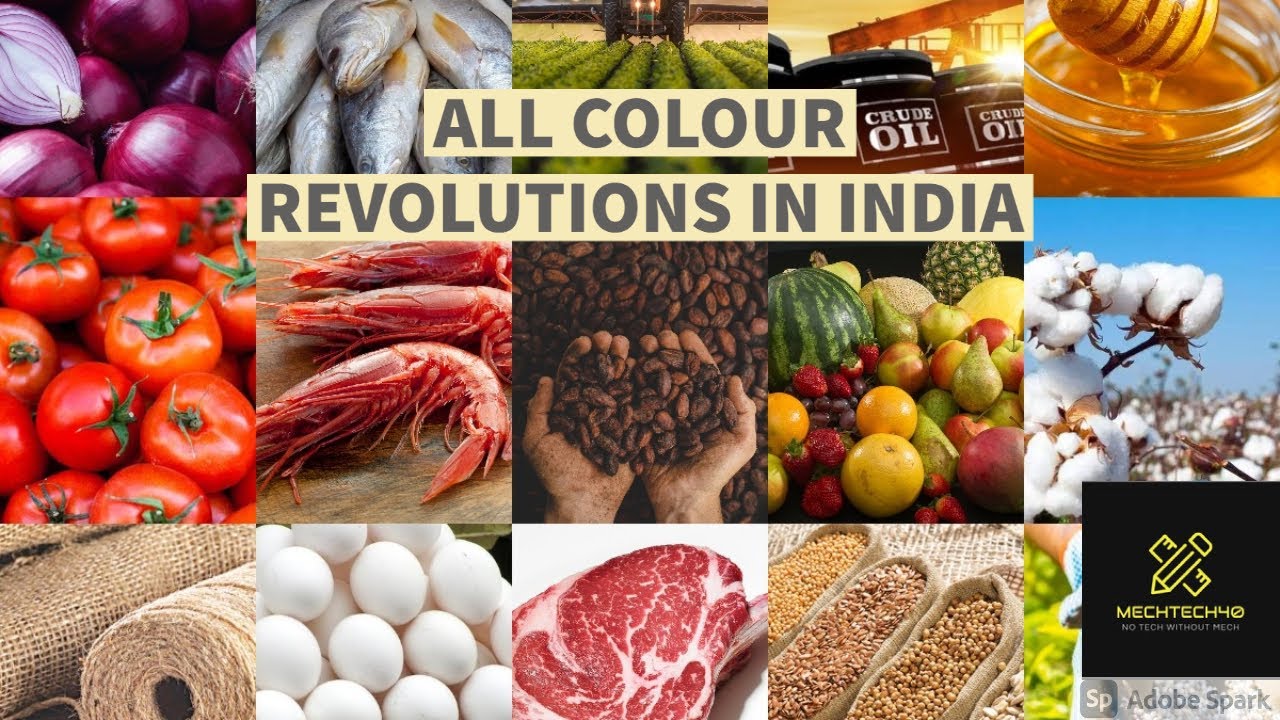 ALL COLOUR REVOLUTIONS IN INDIA || FOR #SPIPA #UPSC #SSC #RRB #BANKING ...