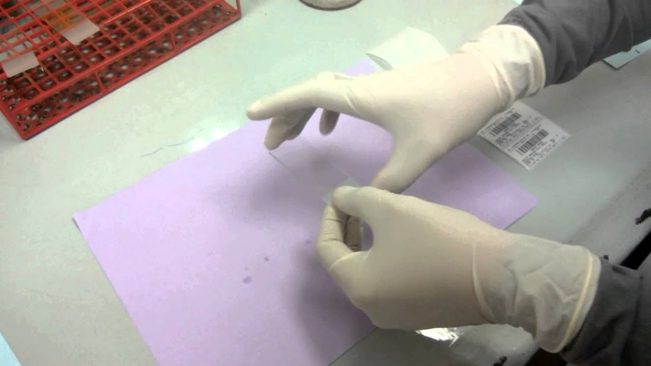 Penyediaan slaid BFMP - YouTube