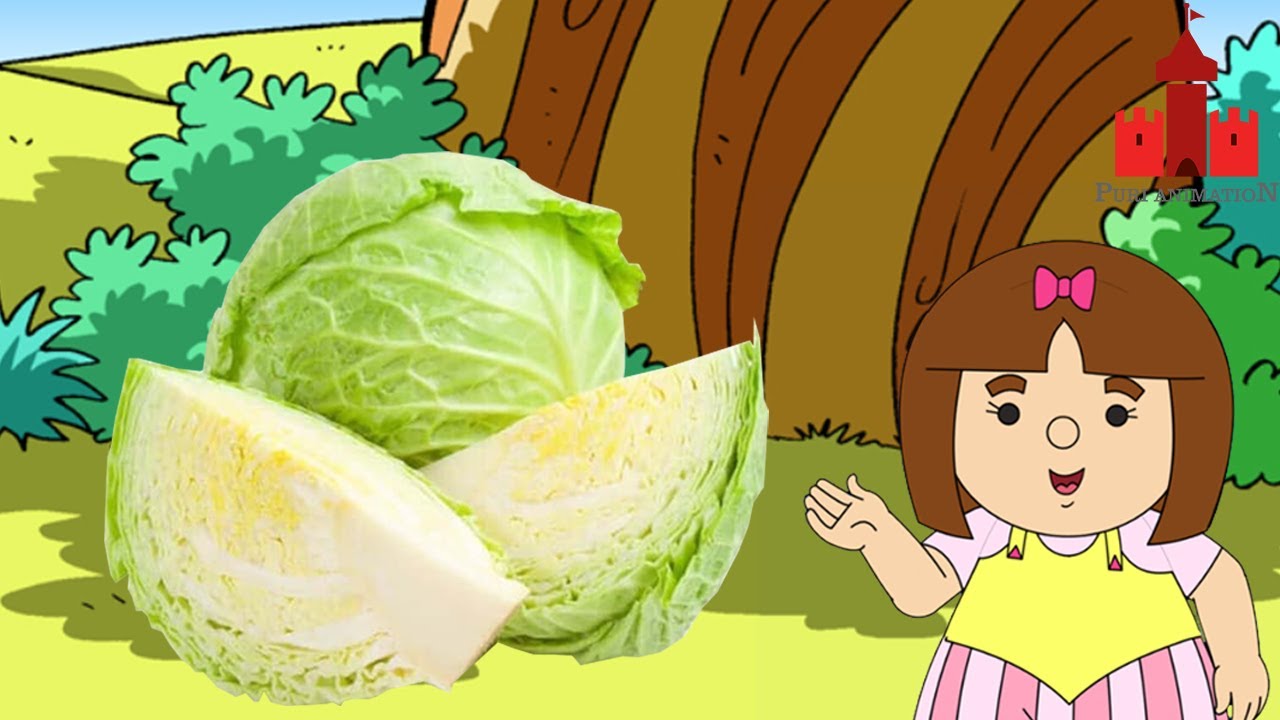 Mengenal Sayur Kol | Puri Animation - YouTube