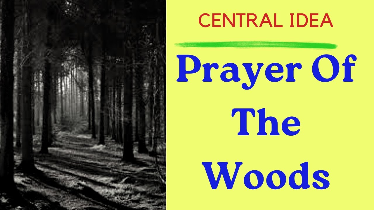Central Idea of Prayer Of The Woods #12th #pseb #giveyourbest # ...