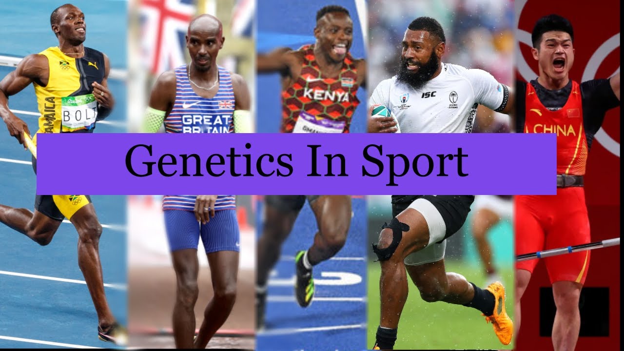 The Role of Genetics in Sport - An EPQ Project - YouTube