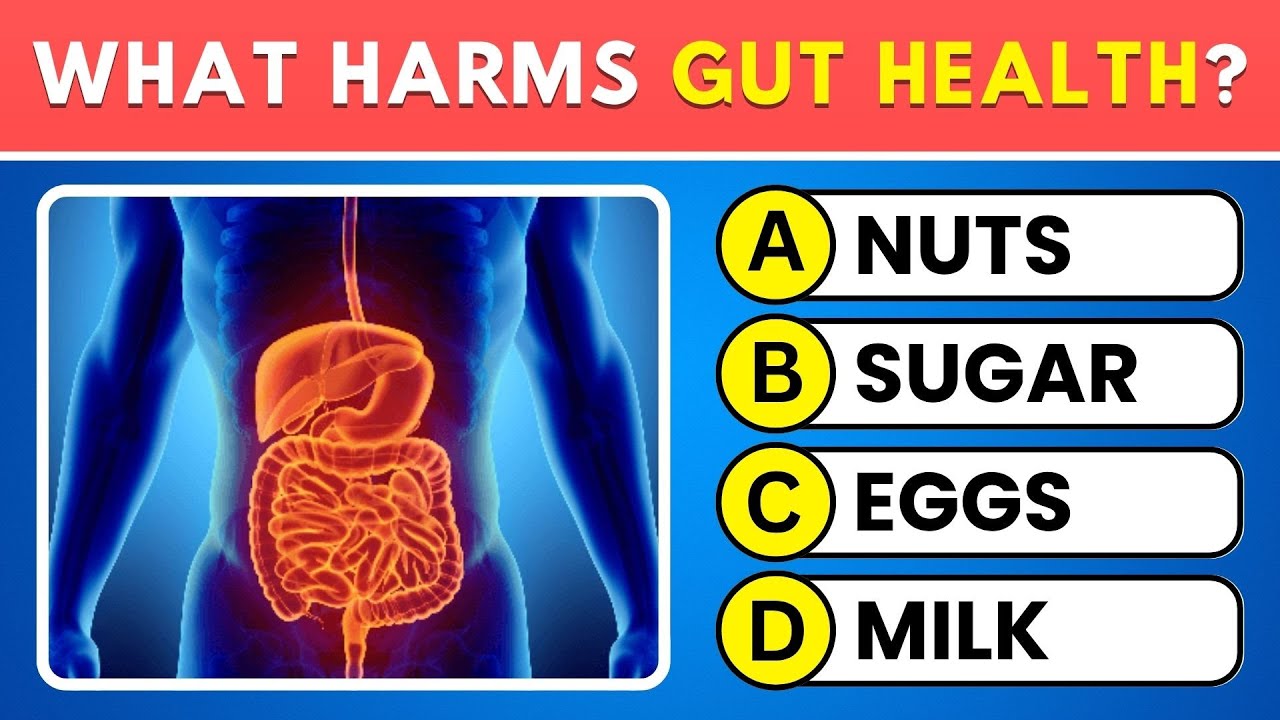 Can You Pass This Human Body Quiz? 🧠 30 Anatomy Questions 🦴 - YouTube