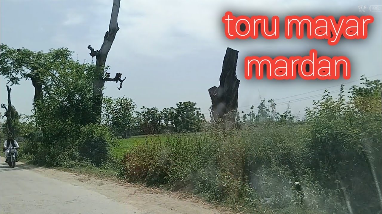 Toru mayar | mardan city | Yarbash tv | mardan vlogs part.. 1. - YouTube