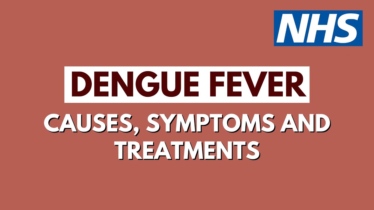Understanding dengue fever causes, symptoms and treatments | UHL NHS ...