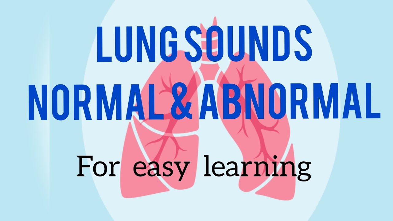 NORMAL & ABNORMAL LUNG SOUNDS - YouTube