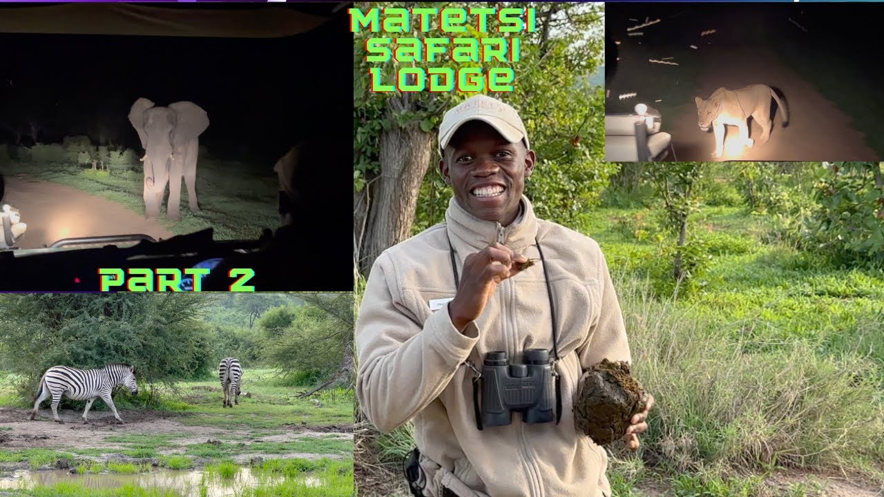 Matetsi Safari Part 2 - YouTube