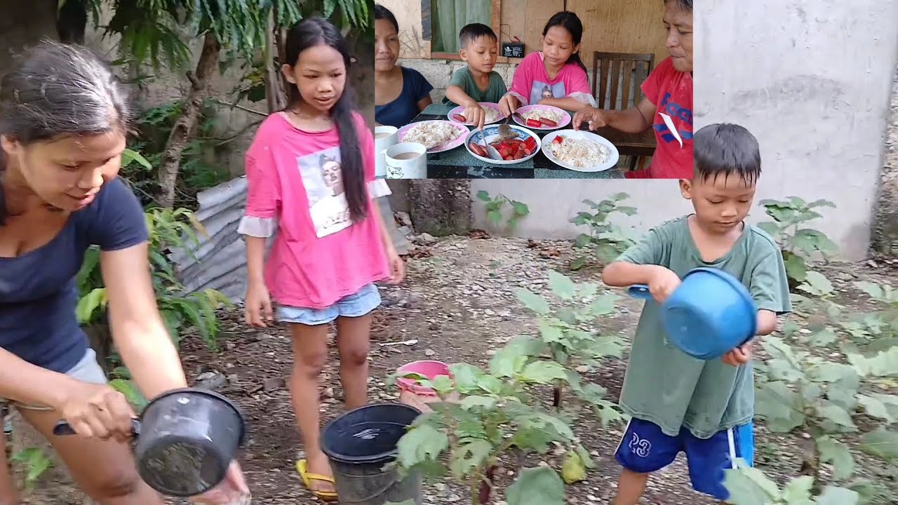 NAGTANIM AT NAGDILIG NG TANIM SA GARDEN,PAGKATAPOS AY NAG ALMUSAL - YouTube
