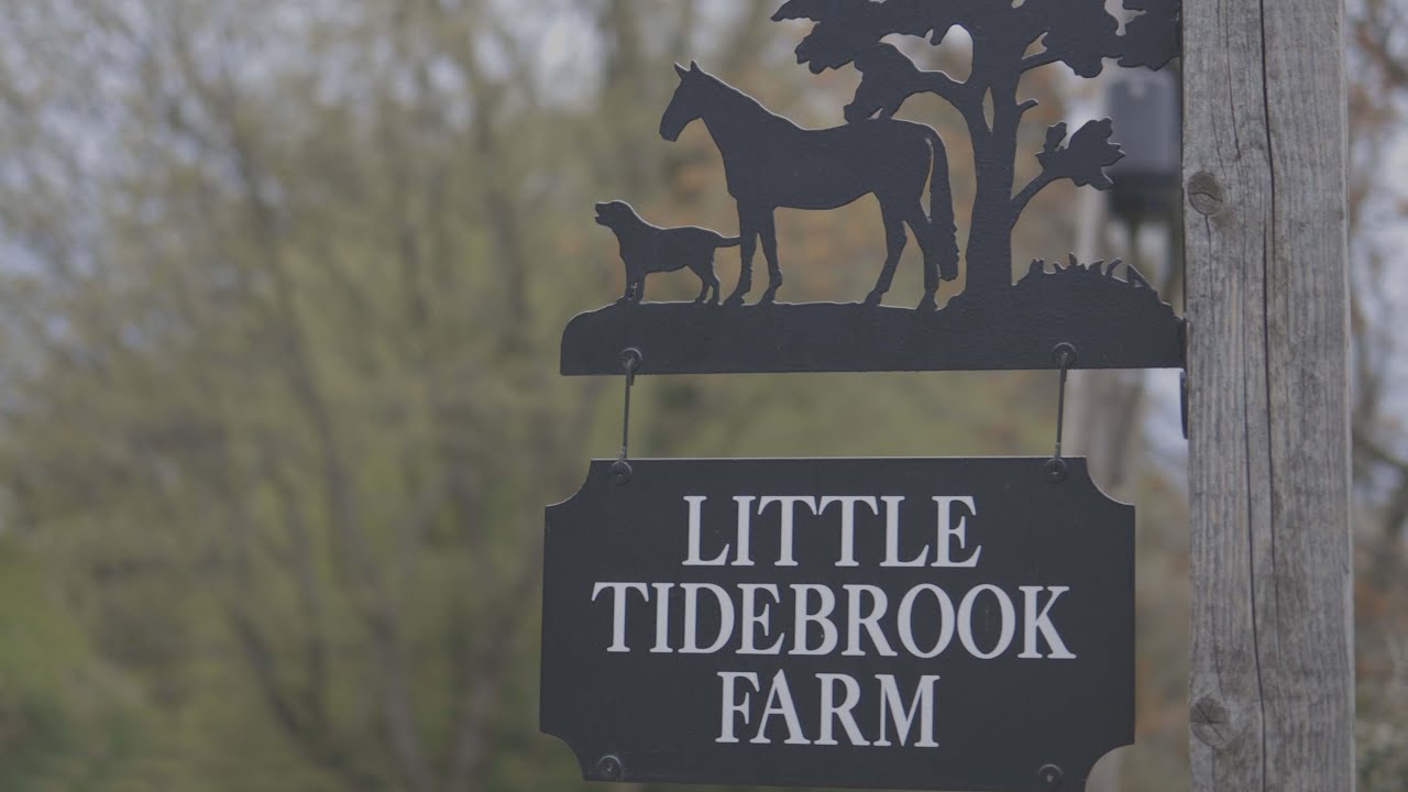 CL Site - Little Tidebrook Farm, Near Wadhurst, East Sussex - YouTube