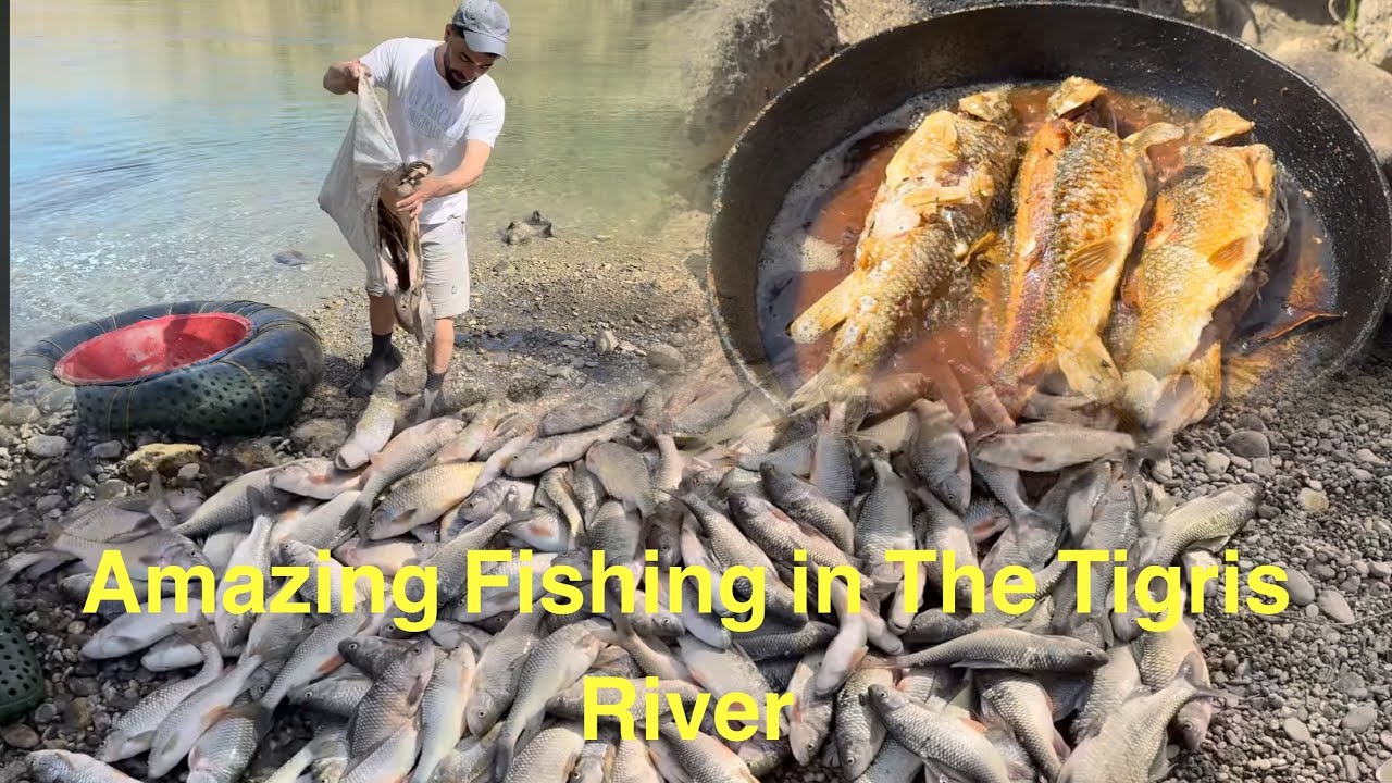 Amazing fishing in the Tigris River😱. تجربة صيد مذهلة على نهر دجلة ...