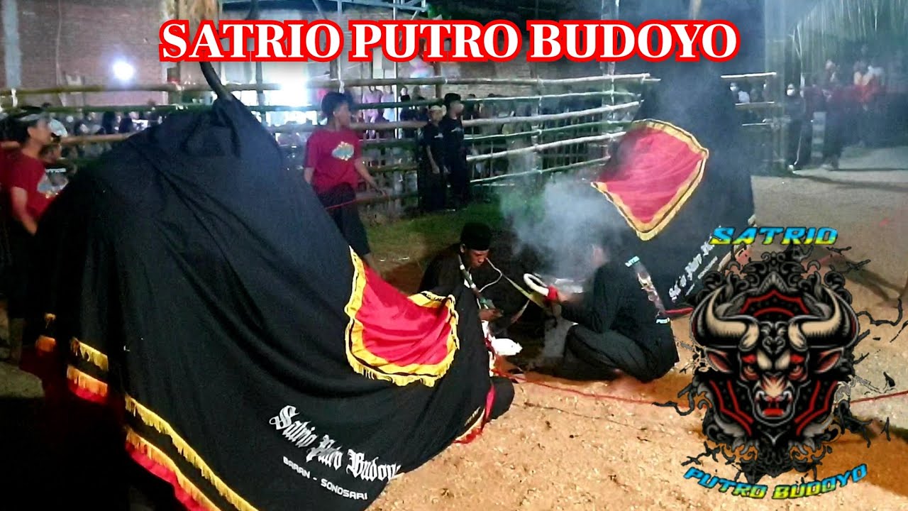 Terbaru Banteng SATRIO PUTRO BUDOYO Loss Mberot G4nas Live Baran ...