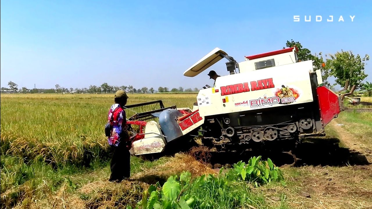 KOMBET MESIN PANEN PADI MAXXI BIMO RIMBA RAYA STUCK DI LUMPUR - YouTube