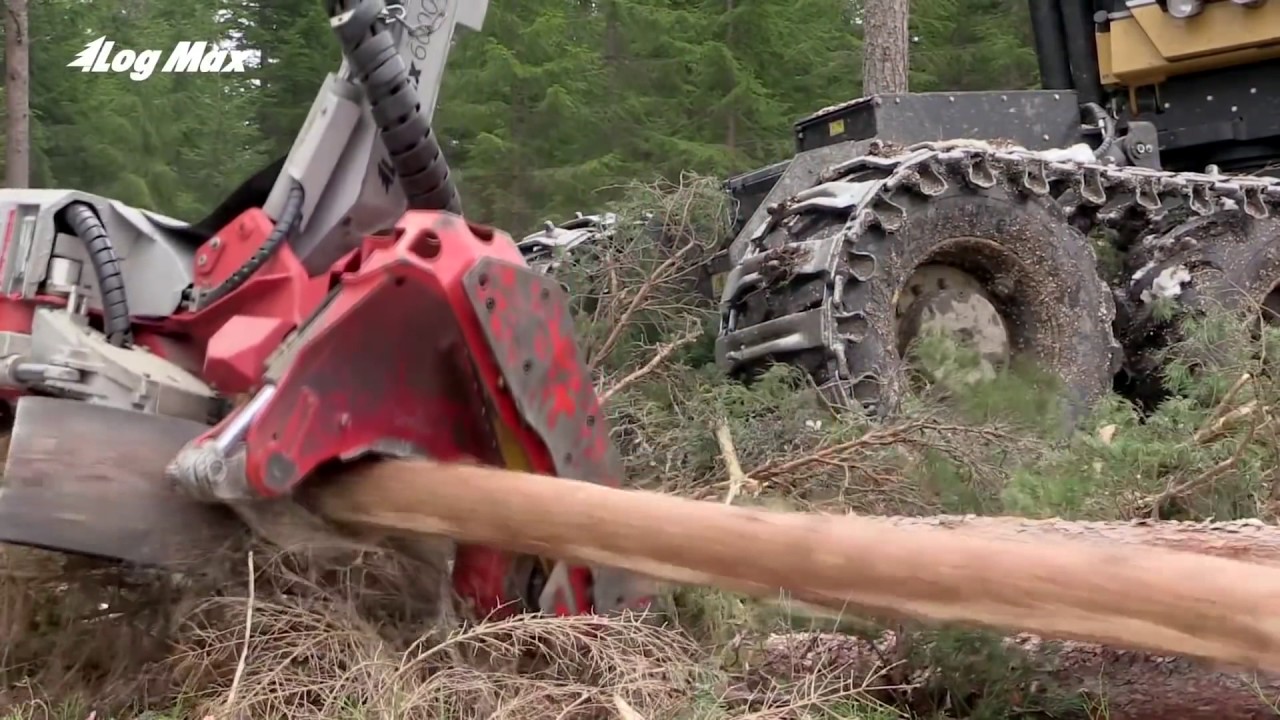 Powerful Extreme Tree Cutting Machines in Action Log Max Harvesting ...