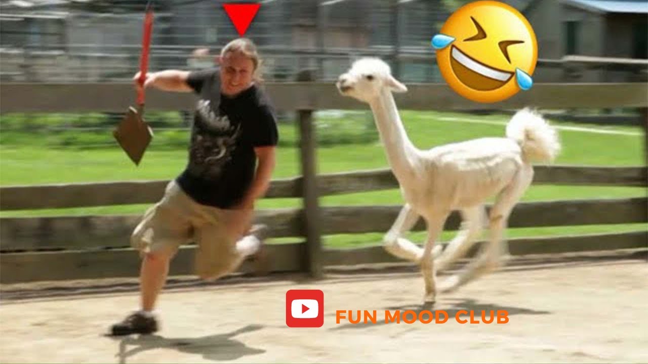 Best Funny Fails Videos People Compilation 😆 The Funny Failed Video Was ...