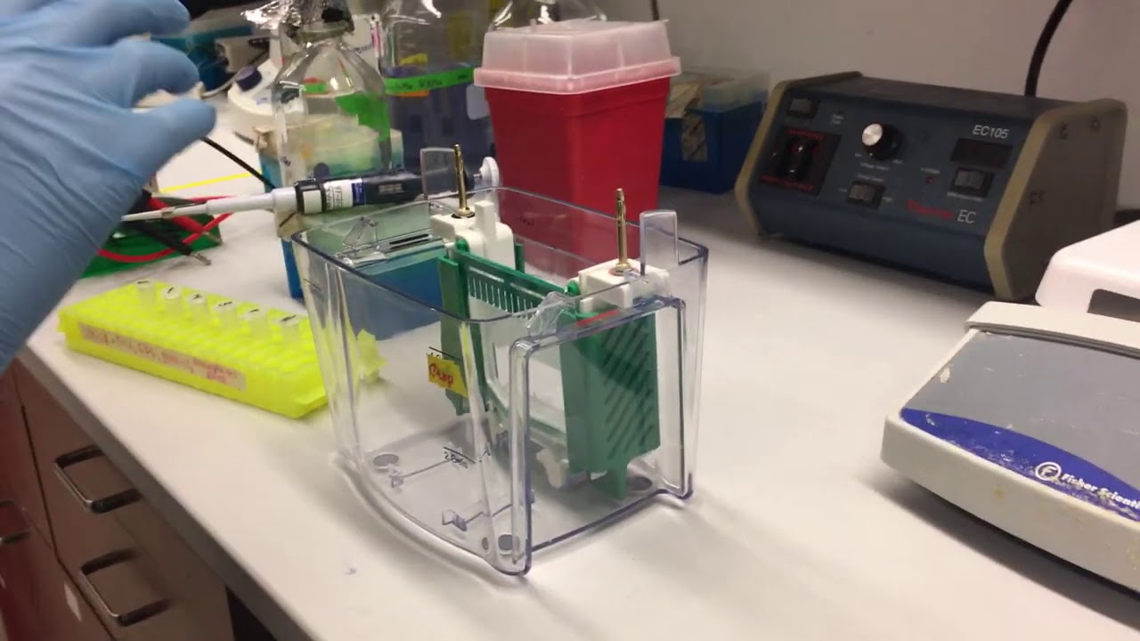 Biochem lab 21 - YouTube