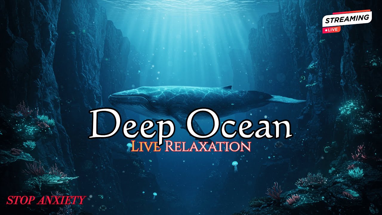 🔴 Deep Ocean Sleep Music Live Calming Underwater Ambience - YouTube