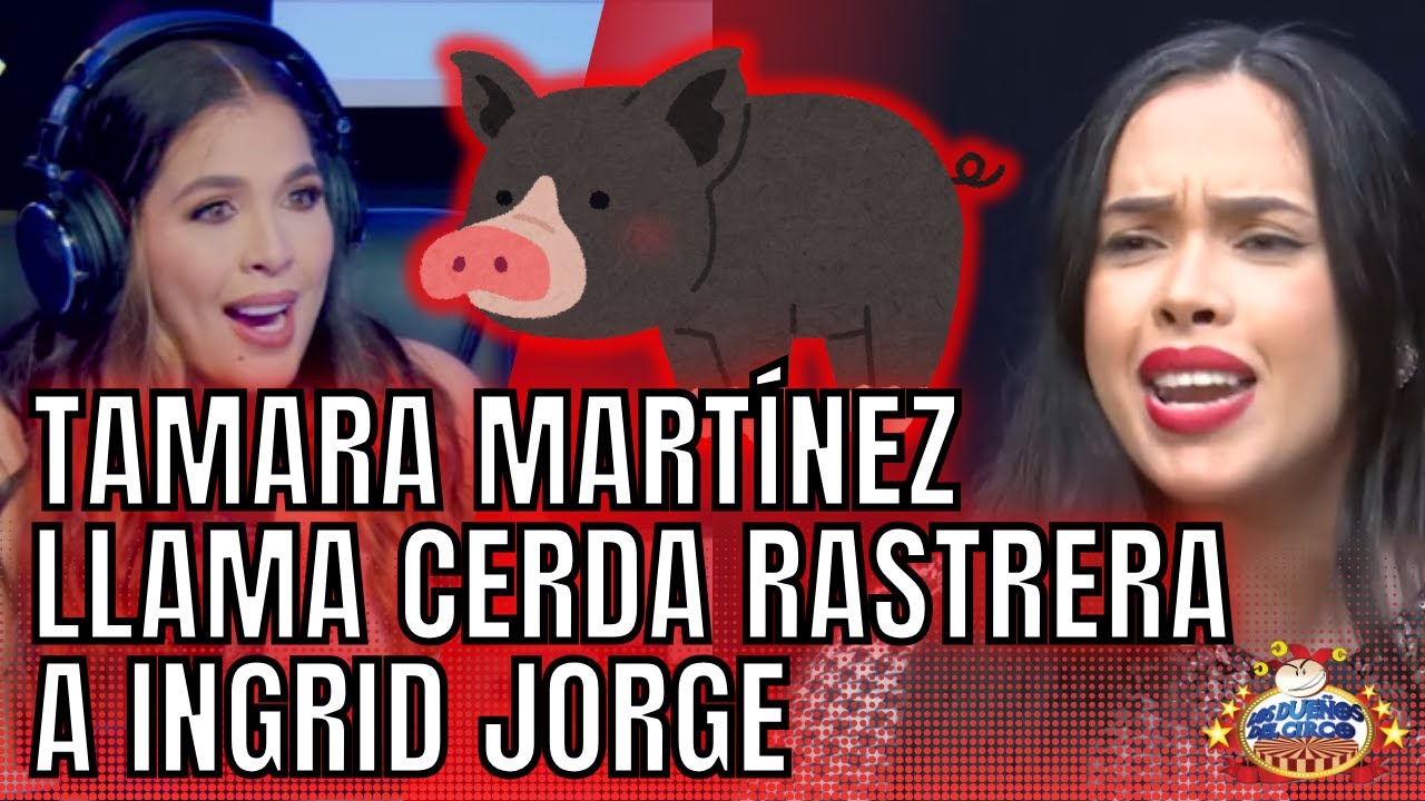 TAMARA LLAMA CERDA RASTRERA A INGRID Y LA TORA AMENAZA A CASIMIRA - YouTube