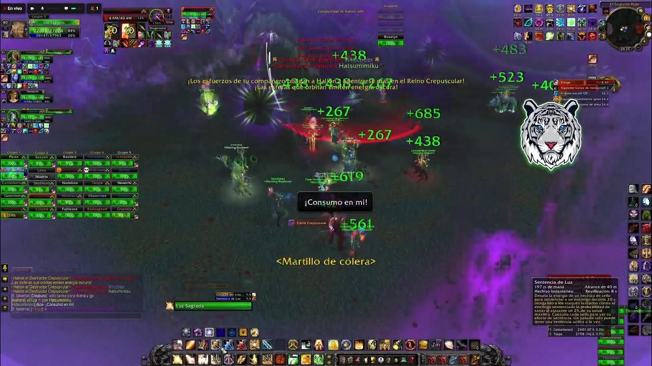 PALA HOLY - Sagrario Rubí [SR25Npve] // Wow (3.3.5) NaerZone - YouTube