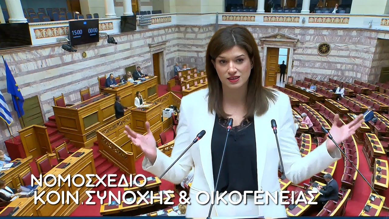 29.04.24 Εισήγηση στην Ολομέλεια στο ΣΝ του Υπουργείου Κοινωνικής ...