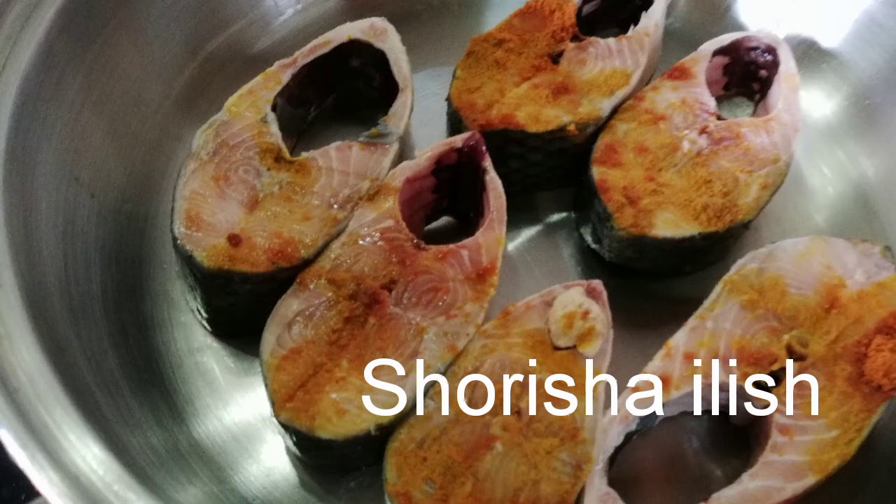 Shorisha ilish - YouTube