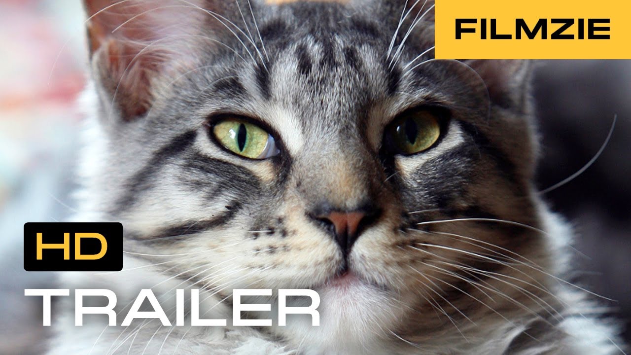 The Lion in Your Living Room: Official Trailer (2015) | D. Zuckerbrot ...