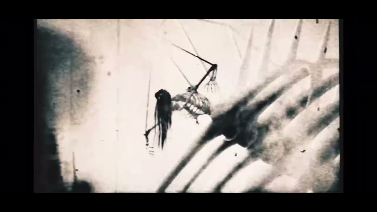 The rumbling ( footages ) with different ost - YouTube