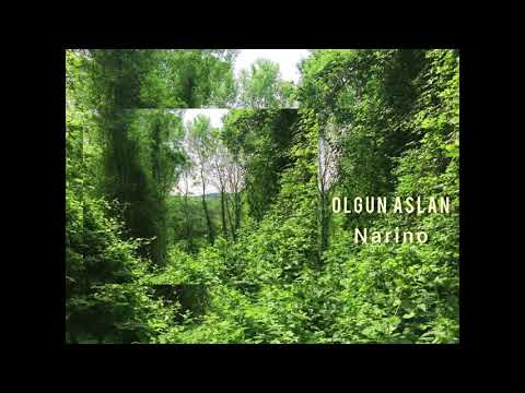 Olgun Aslan - Narino