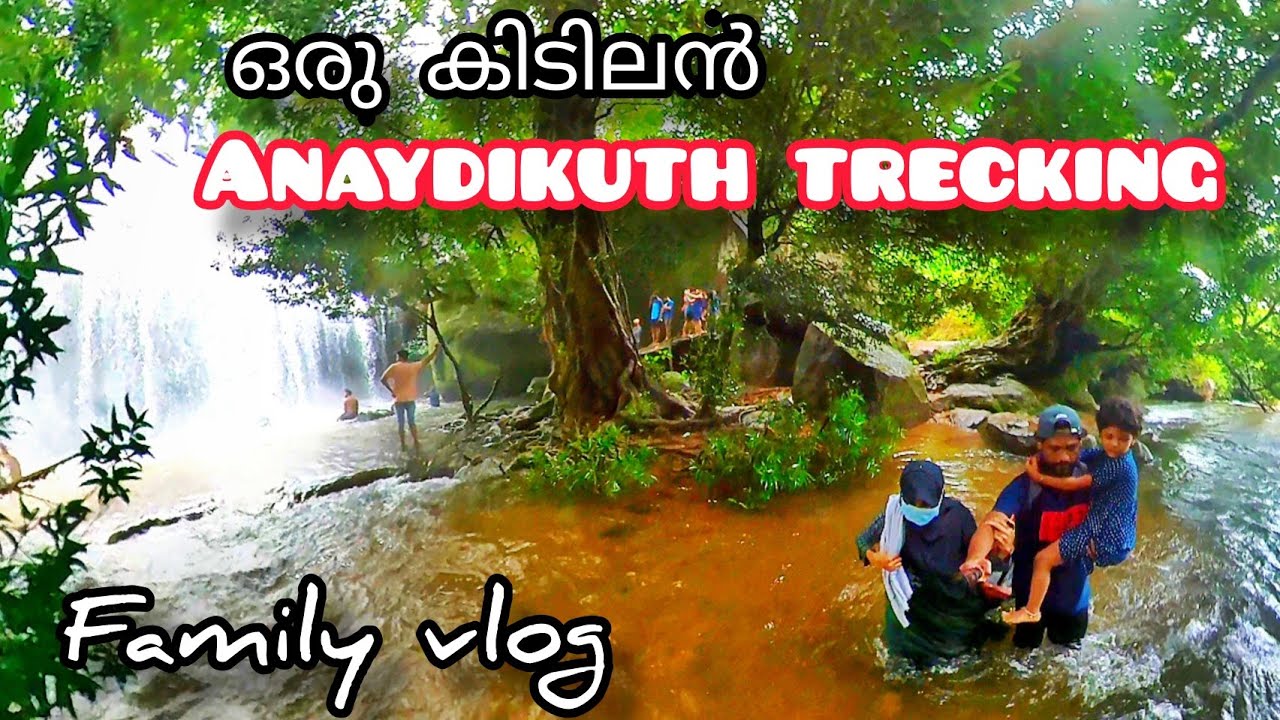 anayadikuthu waterfalls / A AANAYADIKUTHU WATERFALLS VLOG / ആനയടികുത്ത് ...