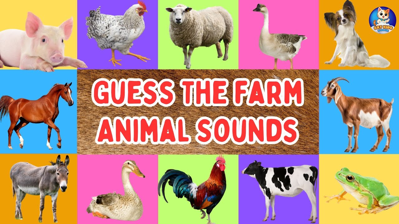 🐓 Farm Animals Sound Challenge | Can You Guess the Animal? 🧠 - YouTube