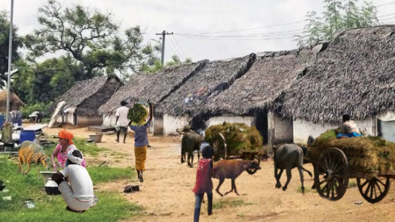 Indian Farmer Life Style Uttar Pradesh || Life Of Rural Village Up ...