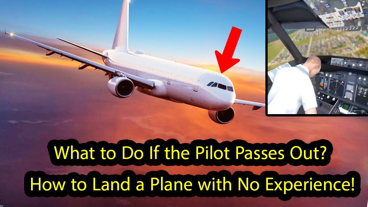 What to Do If the Pilot Passes Out? How to Land a Plane with No ...