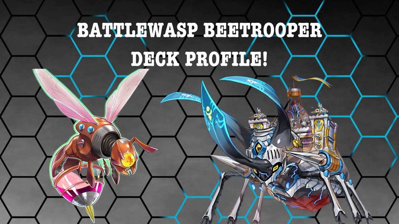BATTLEWASP + BEETROOPER DECK PROFILE! NOVEMBER 2024!! - YouTube