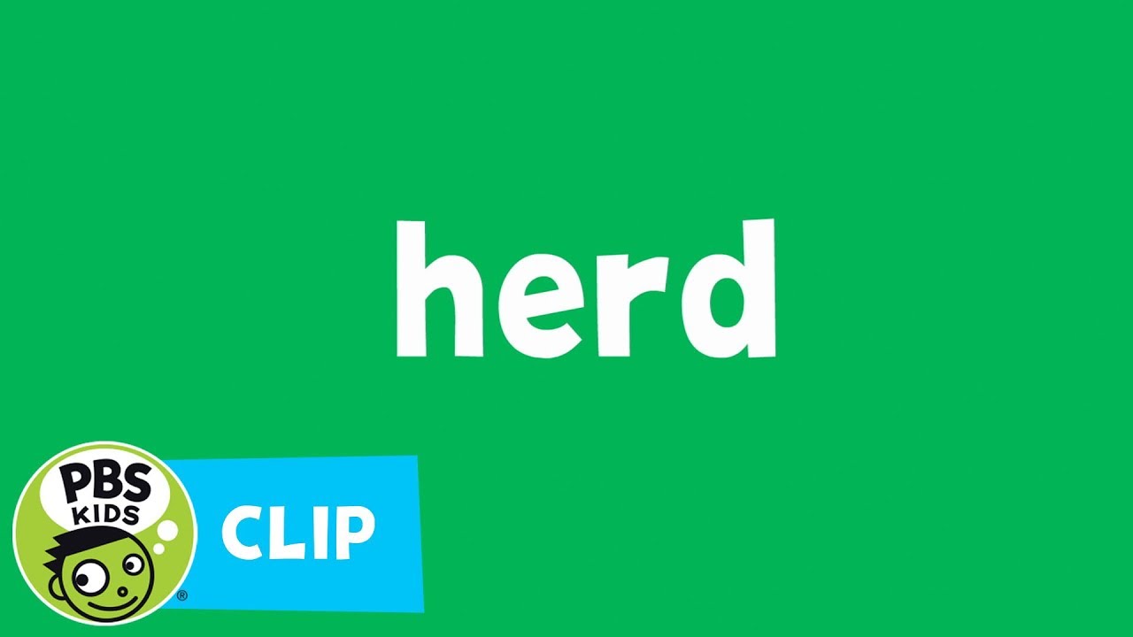 WORD OF THE WEEK | Herd | PBS KIDS - YouTube