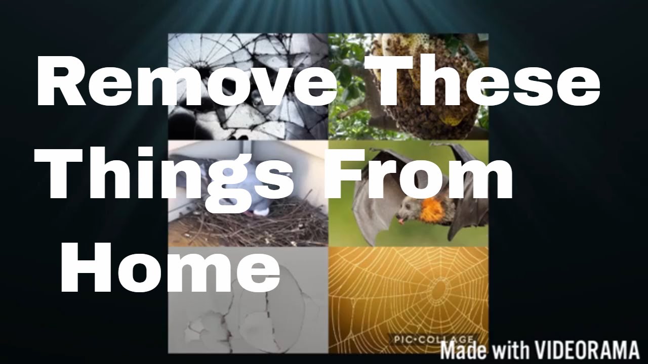 Remove these things from your house || Latest Updates of 2018 - YouTube
