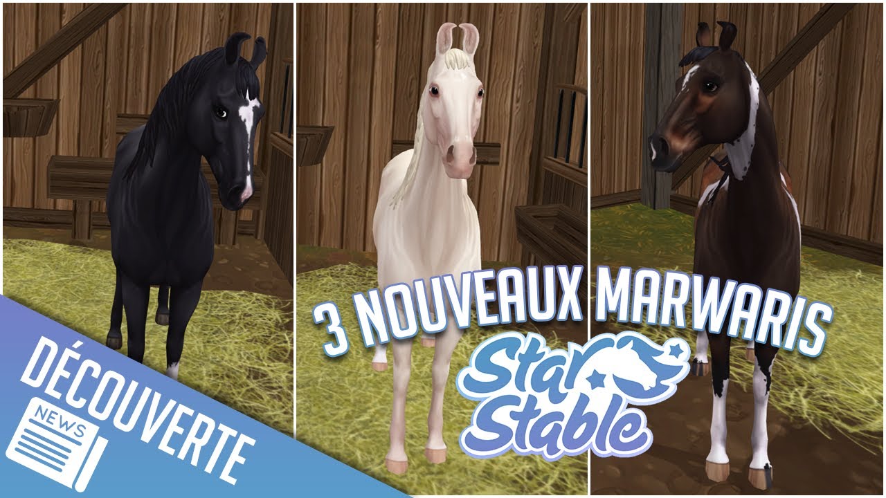 3 nouveaux Marwaris ! | Star Stable - SSO - YouTube