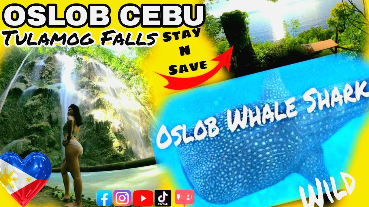 Fun Things to do in Oslob Cebu | Tumalog Falls | Stay n Save Overnight ...