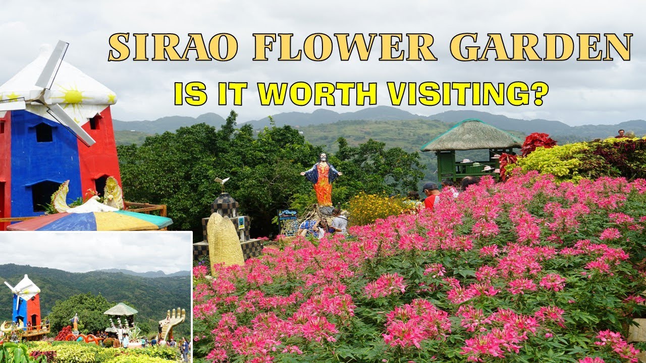 Sirao Flower Garden | Little Amsterdam of Cebu! - YouTube