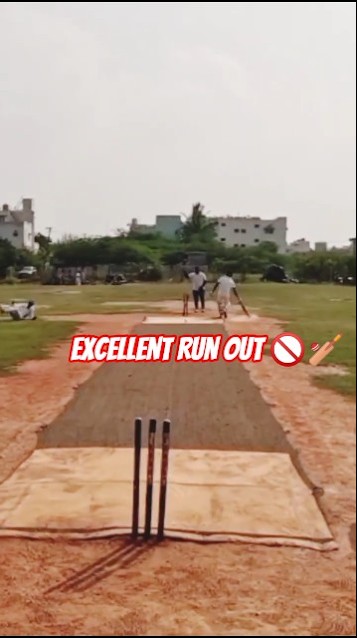 Excellent Run Out 🚫🏏 #cricket #directhit #runout #cricketlover # ...