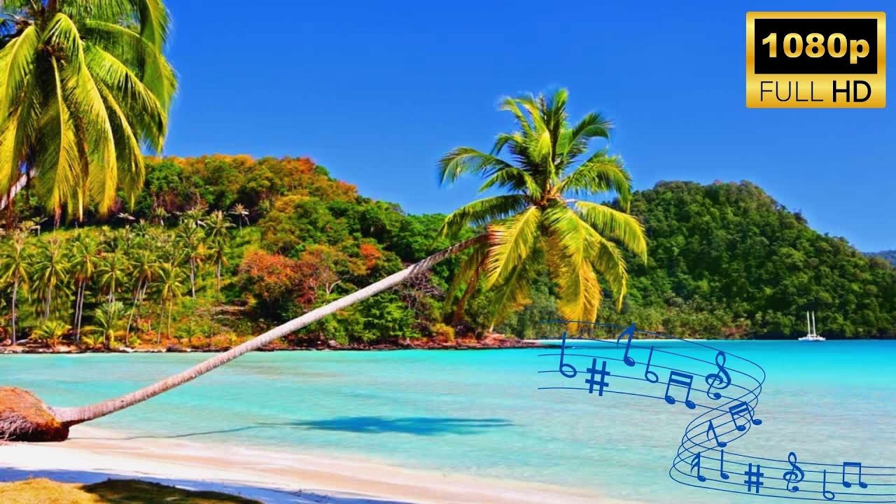 Musique douce pour se détendre 😴 avec des sons de vagues douces.#waves ...