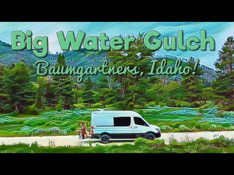 Big Water Gulch in Baumgartner Idaho, welcome to the jungle! - YouTube