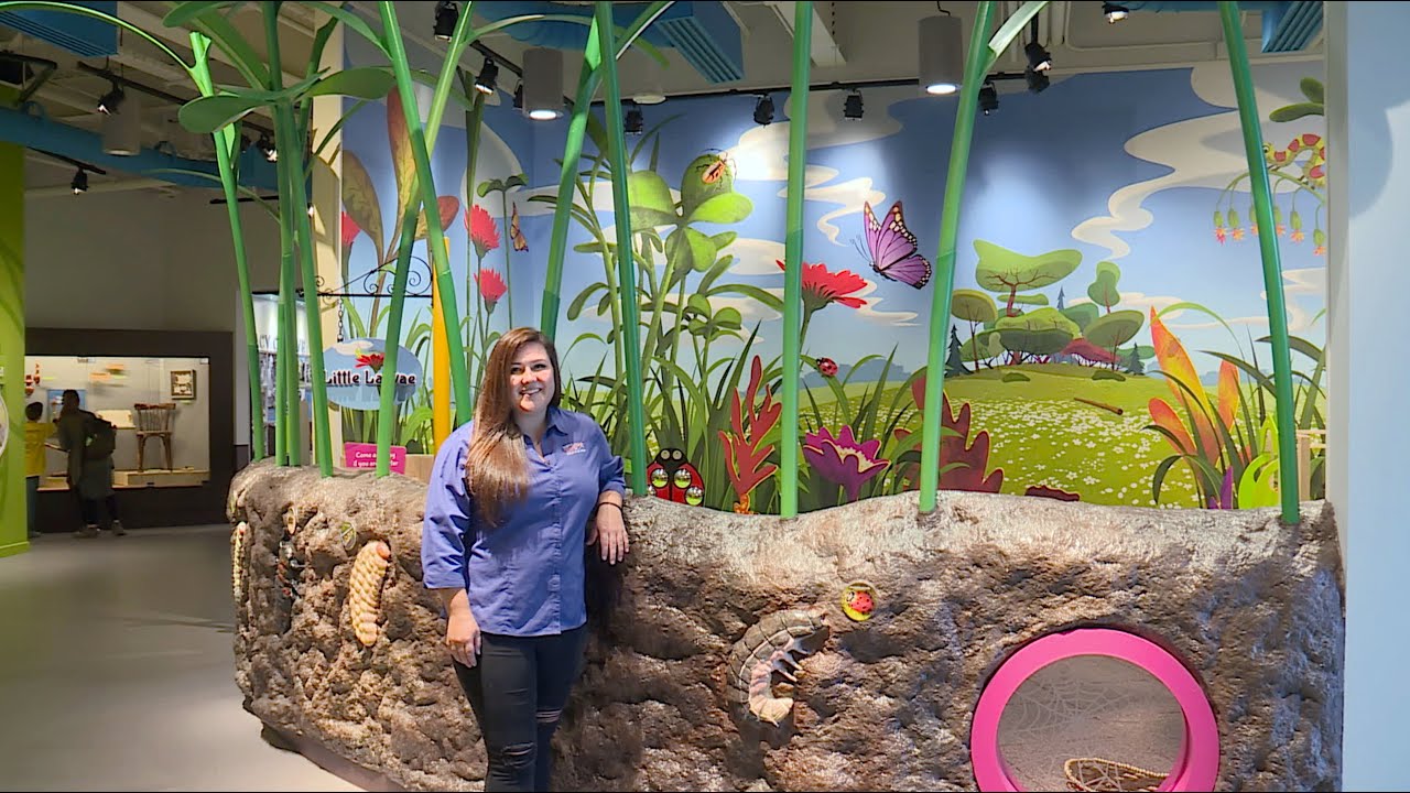 Show 605B - Cook Museum of Natural Science - YouTube