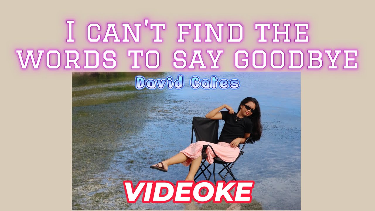 VIDEOKE : I CAN'T FIND THE WORDS TO SAY GOODBYE - Chords and Lyrics ...