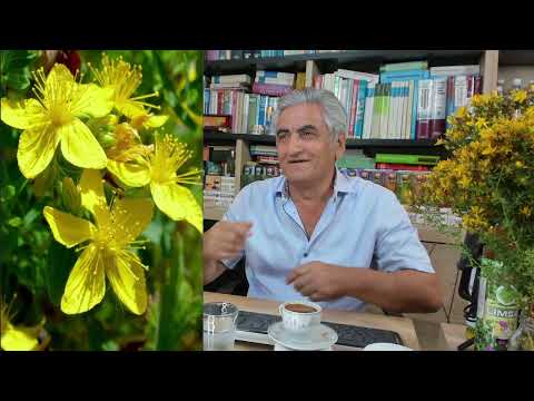 Sarı Kantaron ile Kekemelik, Anksiyete, Korku, Endişe, Stres, Depresyon ve iç huzursuzluğun tedavisi