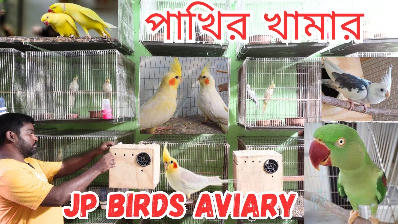 পাখির খামার নওগাঁ || JP Birds farm Naogaon - YouTube