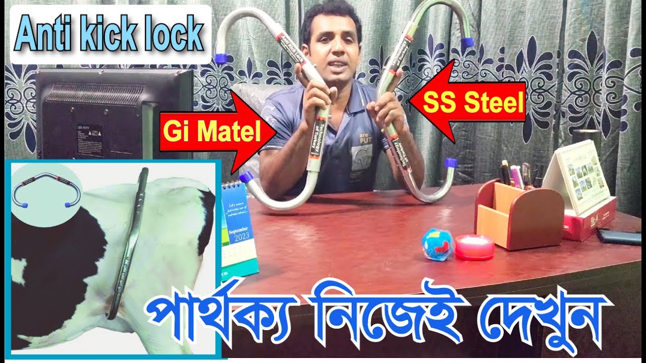 Anti kick lock | Use cow kicking stop | গাভী গরুর দুধ দোহনের সময় লাথি ...