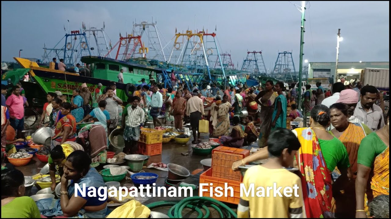 Nagapattinam Fish Market | Nagapattinam Harbour Tamil Nadu India - YouTube