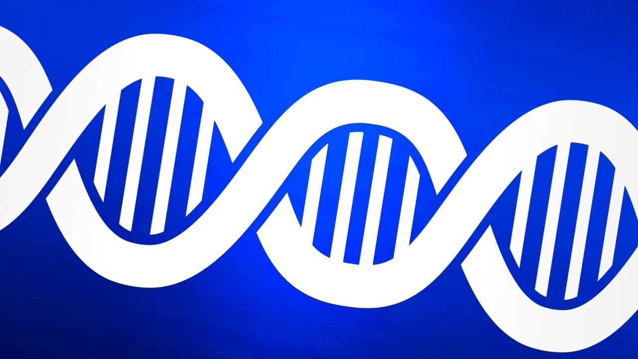 The DNA of DNP Ribbons - YouTube