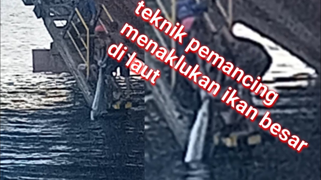teknik mancing ikan besar di laut || trik jitu mancing ikan besar di ...